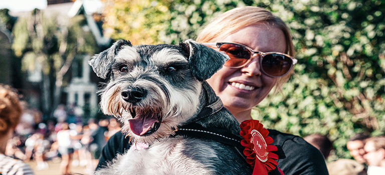 Annapolis Kennel Club AKC dog show - Armed Forces Directory